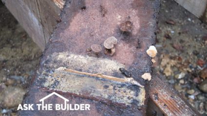 Trex Decking Problems - Composite Deck Mushrooms - AsktheBuilder.com